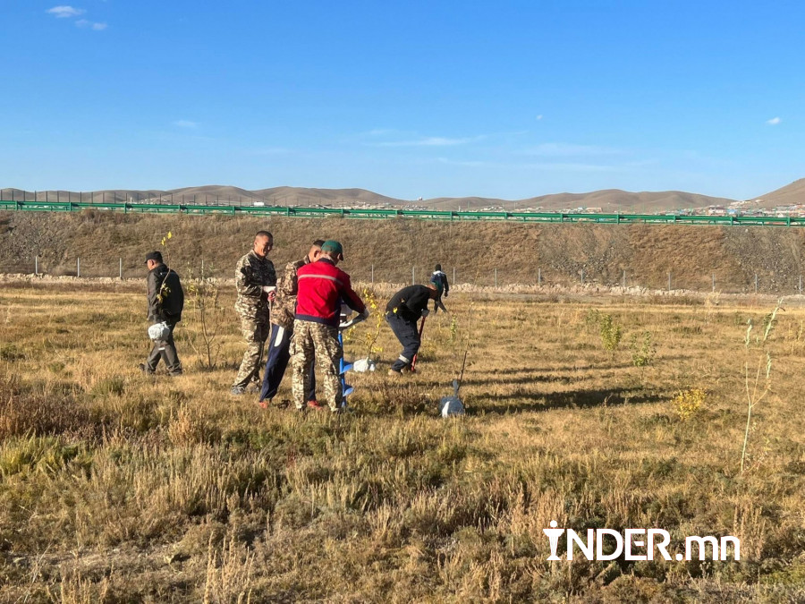 Авлигатай тэмцэх газрын алба хаагчид Хөшигийн хөндийд жимсний мод суулгав
